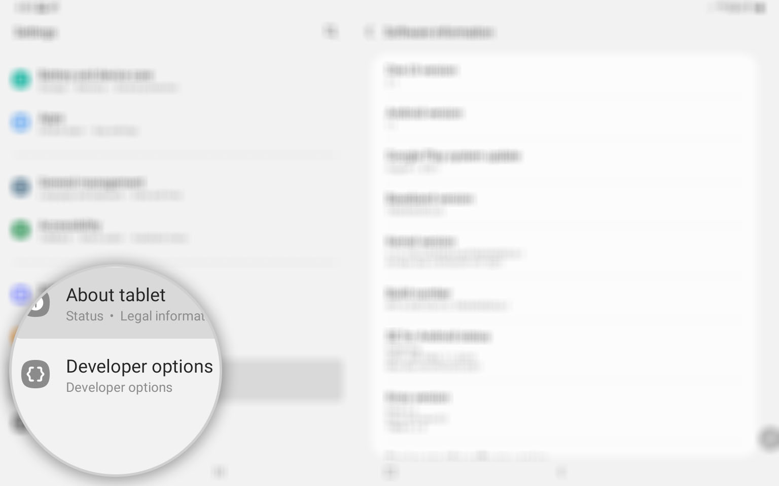 How to Enable Developer Options on Galaxy Tab S8 | Developer Mode – The ...