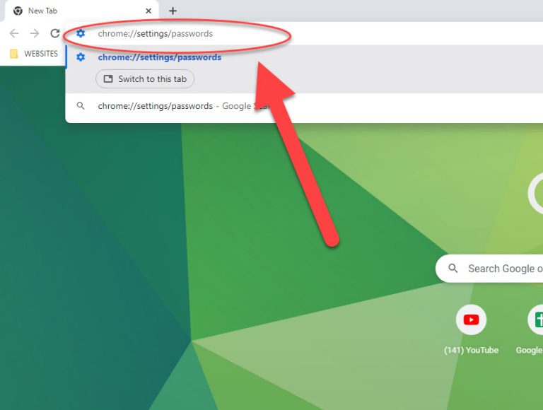 How To See My Saved Passwords On Google – The Droid Guy