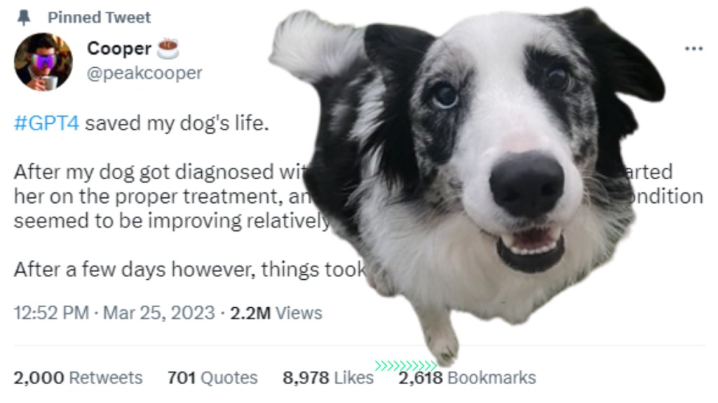 ChatGPT's GPT4 Saves Dog's Life After Vet Stumped Couldn't Find a Diagnosis