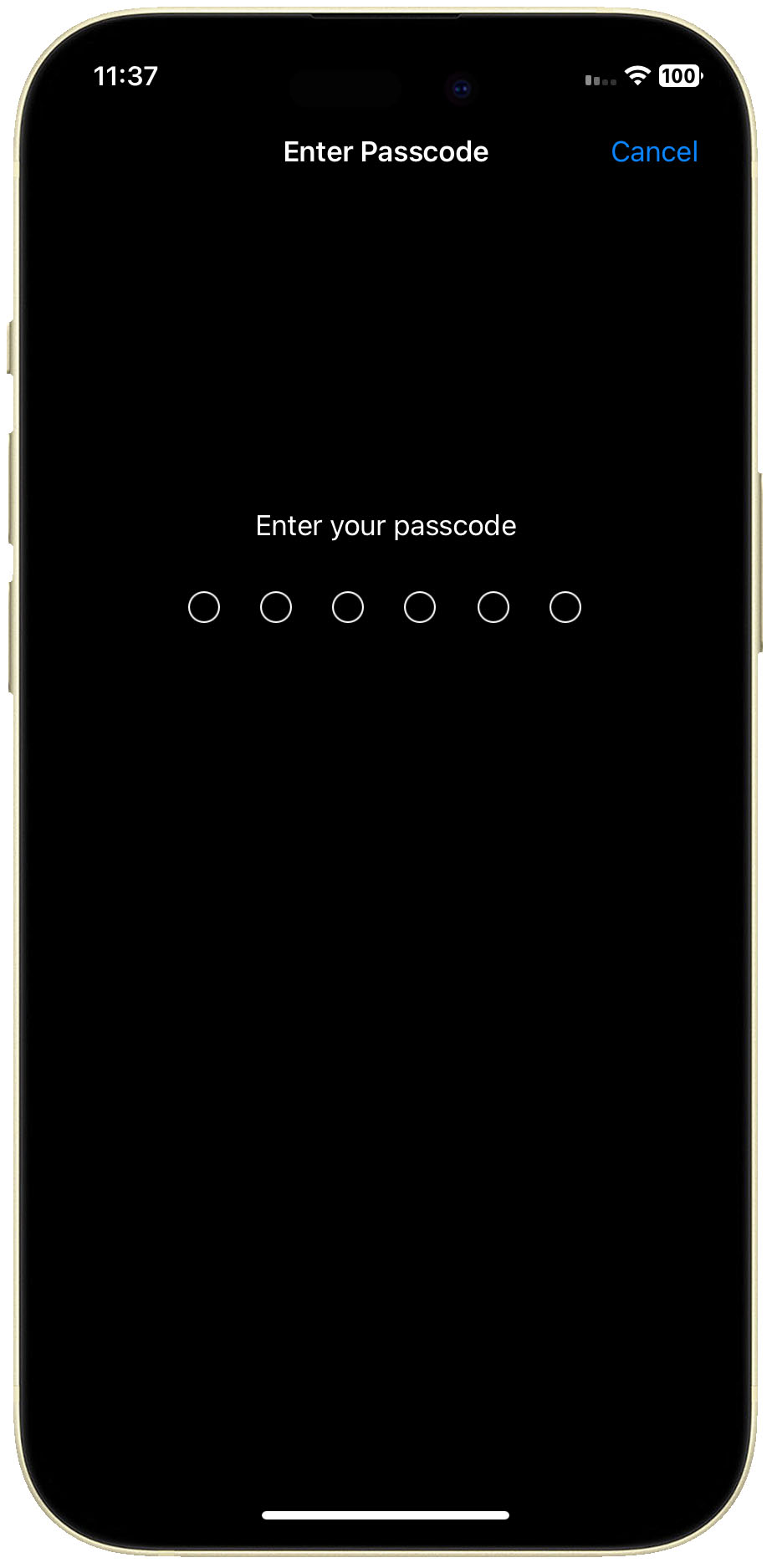 iPhone 15 Face ID Unlock Not Working? Here’s How to Fix It – The Droid Guy